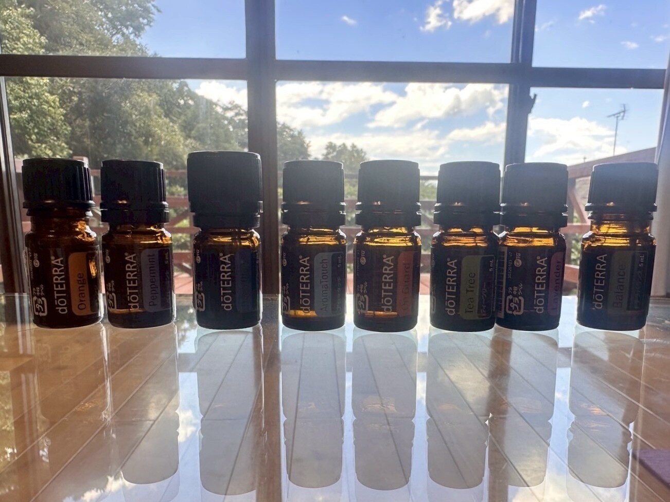 Aromamii 🌱アロマミィ