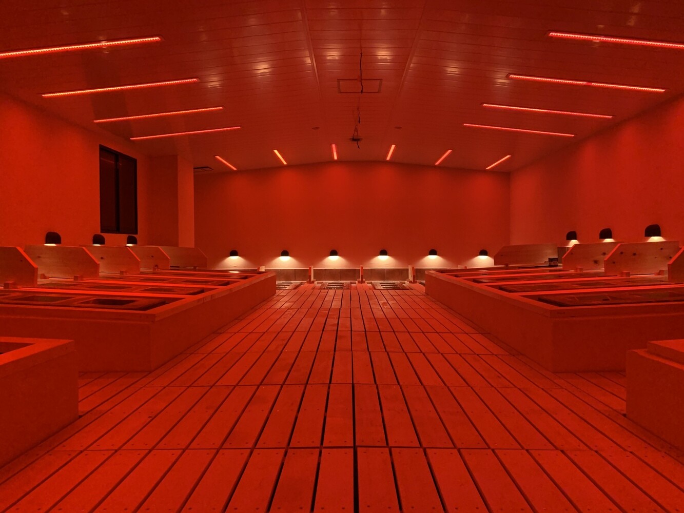 コラーゲン岩盤浴BELDAD