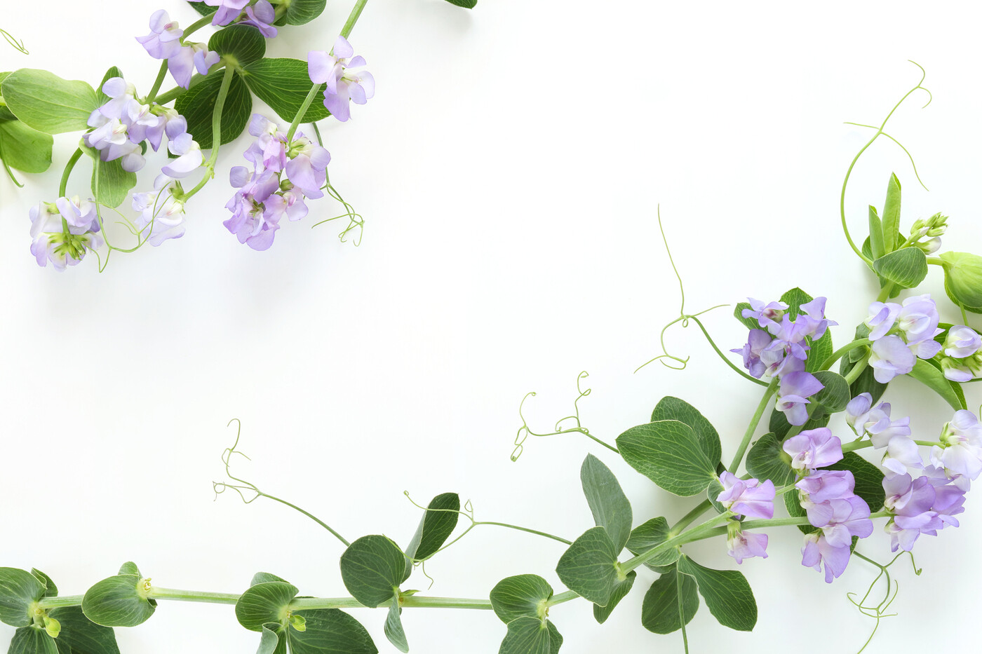 Collecting,コレクティング,collecting room,コレクティングルーム,思考整理,悩み,聞いてほしい,