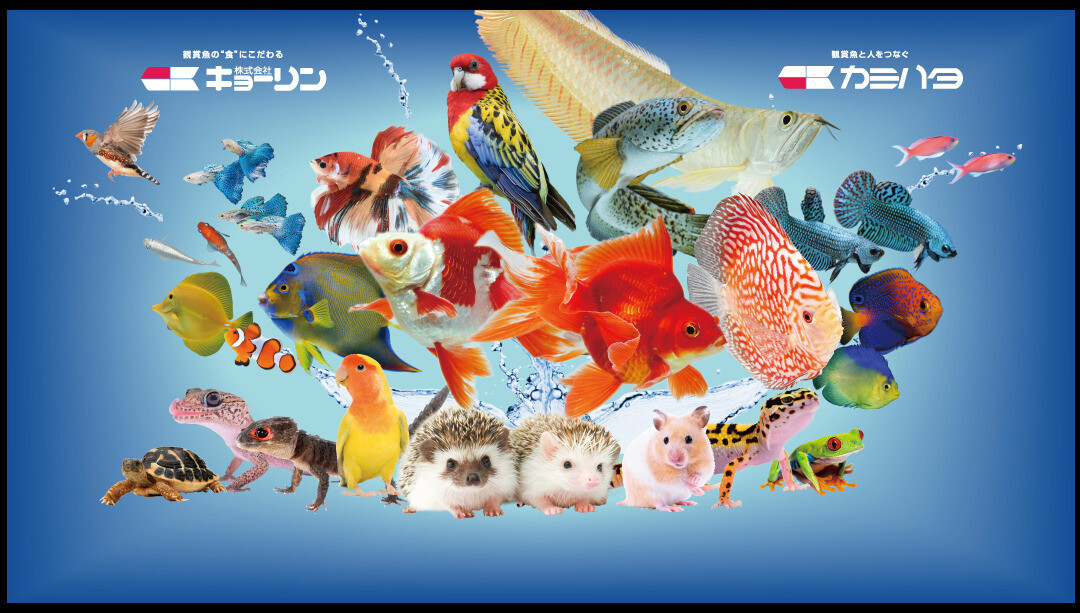 kamihata-fish-industory-group