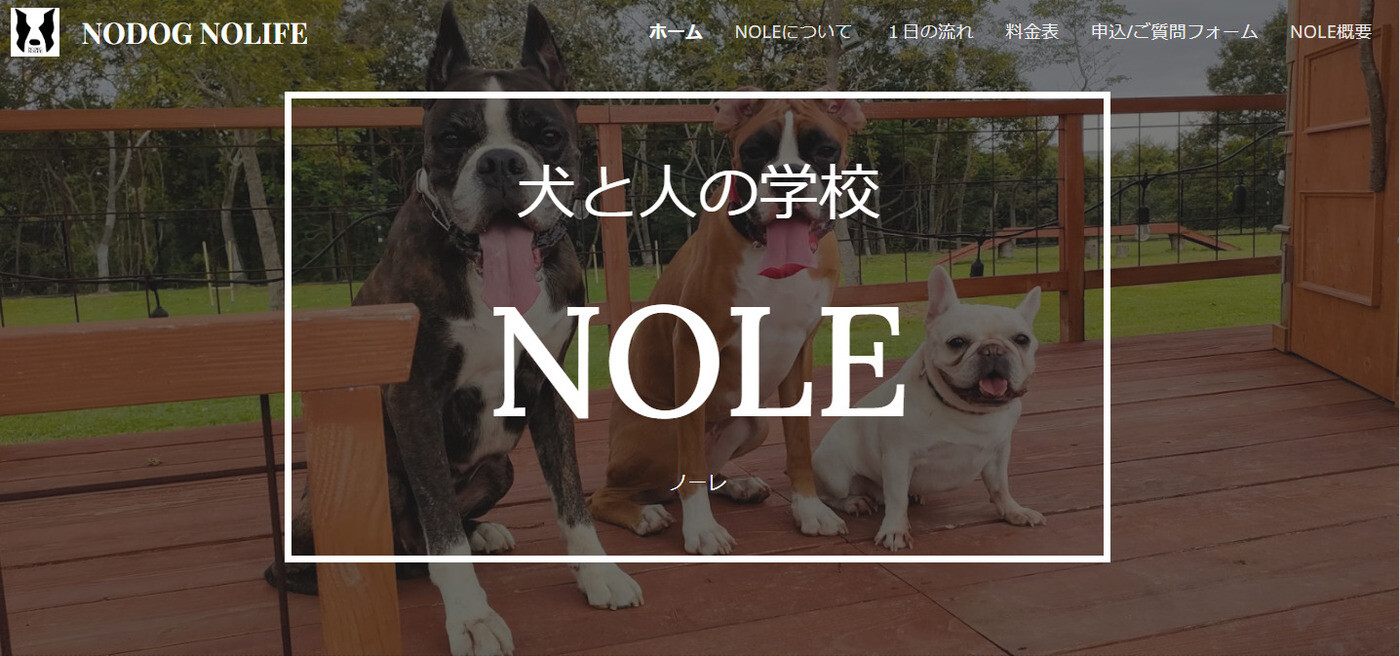 noleのレビュー