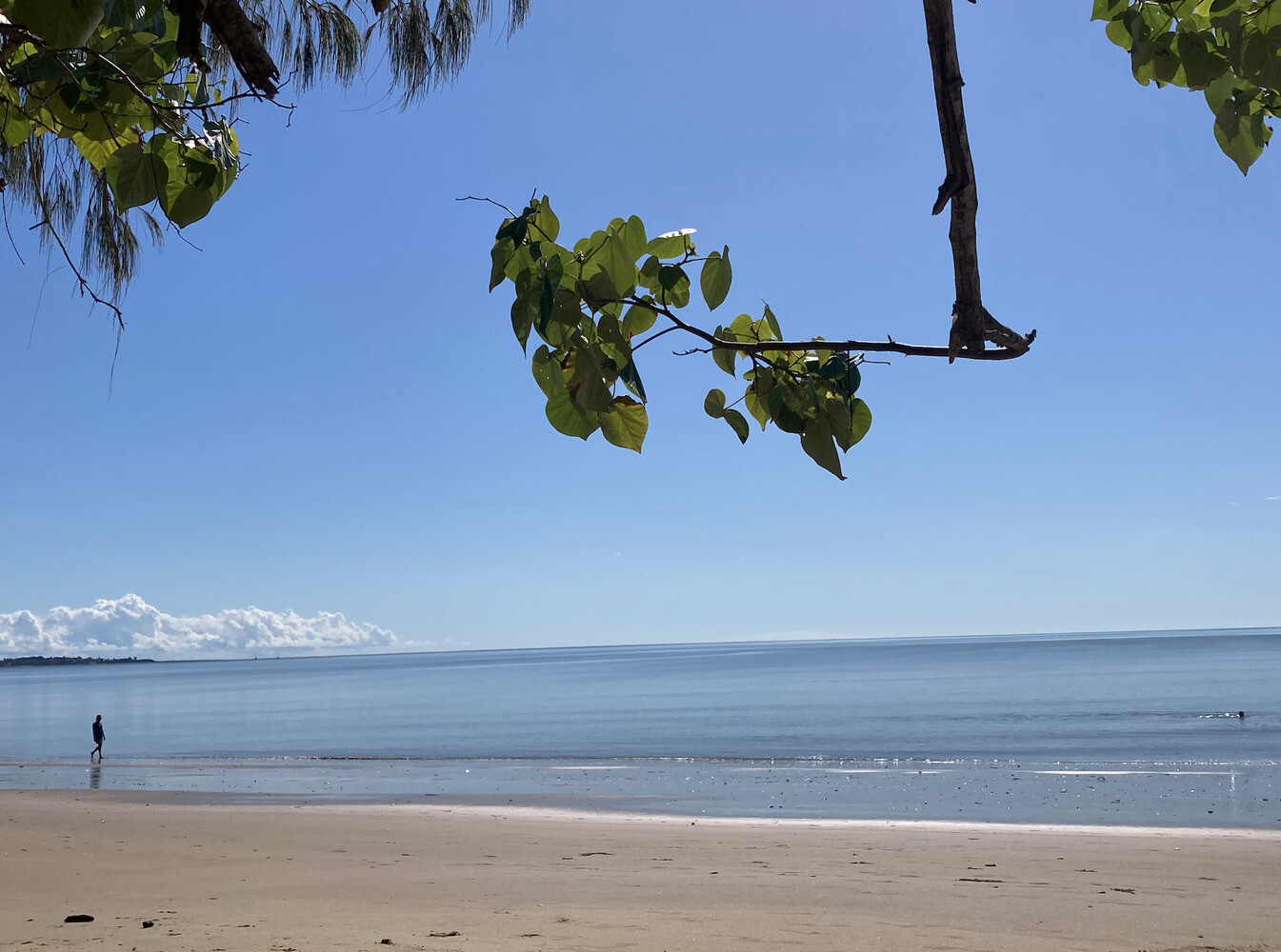 Studio Tokiwaの予約カレンダー