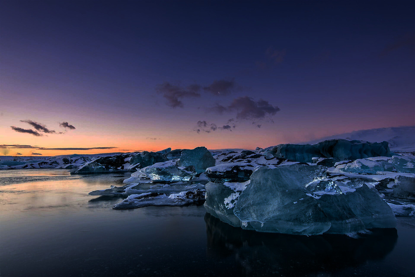 イールドマーケティング